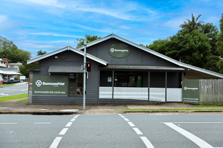 Nambour Vet | SuncoastVet Nambour